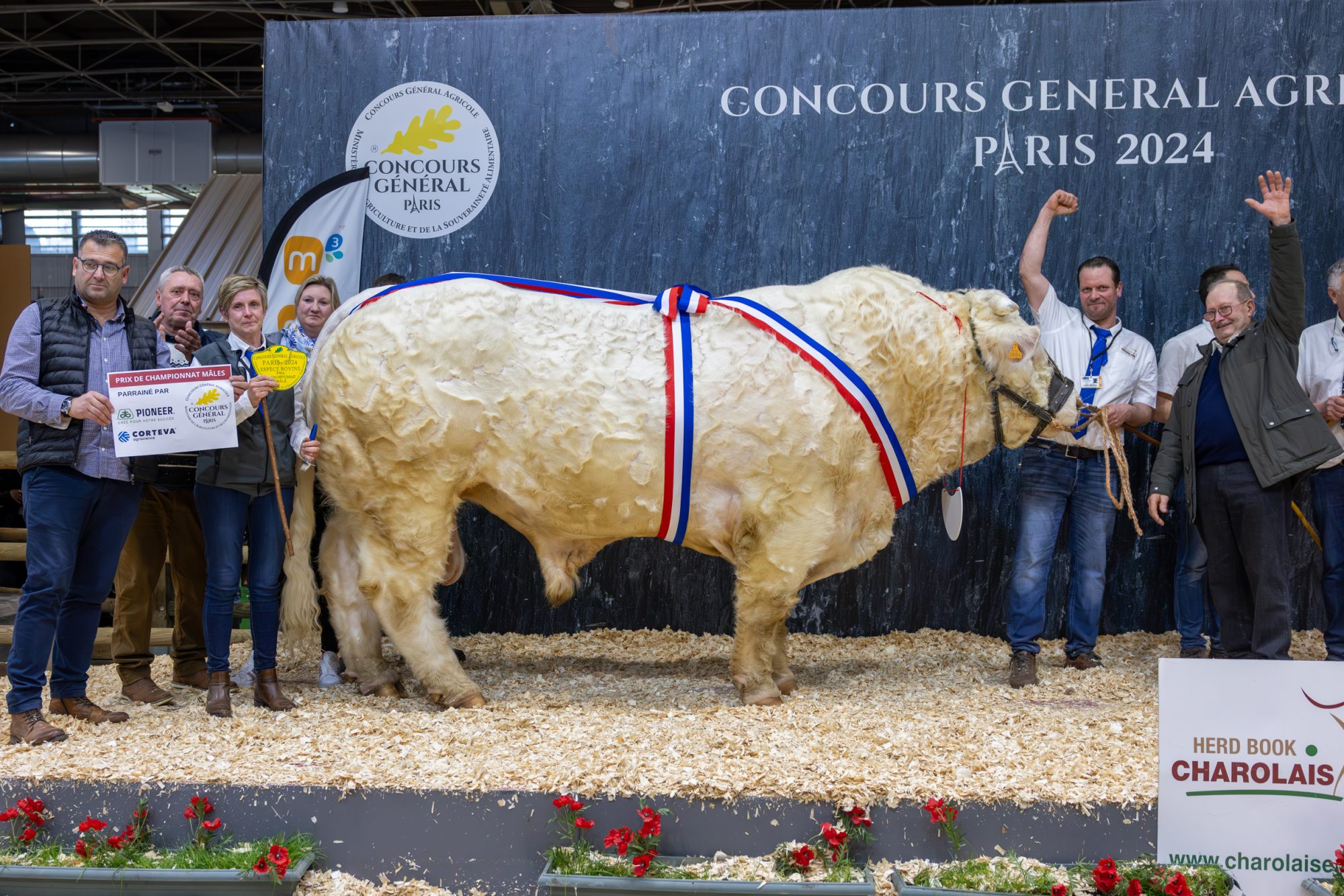 Salon de l'Agriculture : le meilleur taureau charolais est bourguignon