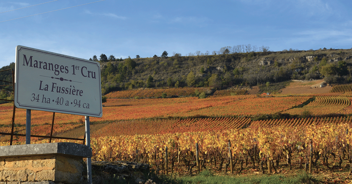 7 choses à savoir sur la Saint-Vincent tournante des Maranges
